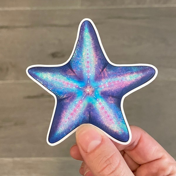 Starfish Sticker - Etsy