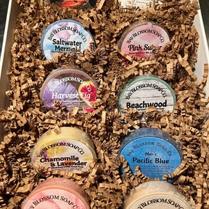 Assorted Mini Guest Soap Set: Natural Handcrafted Soaps - Etsy