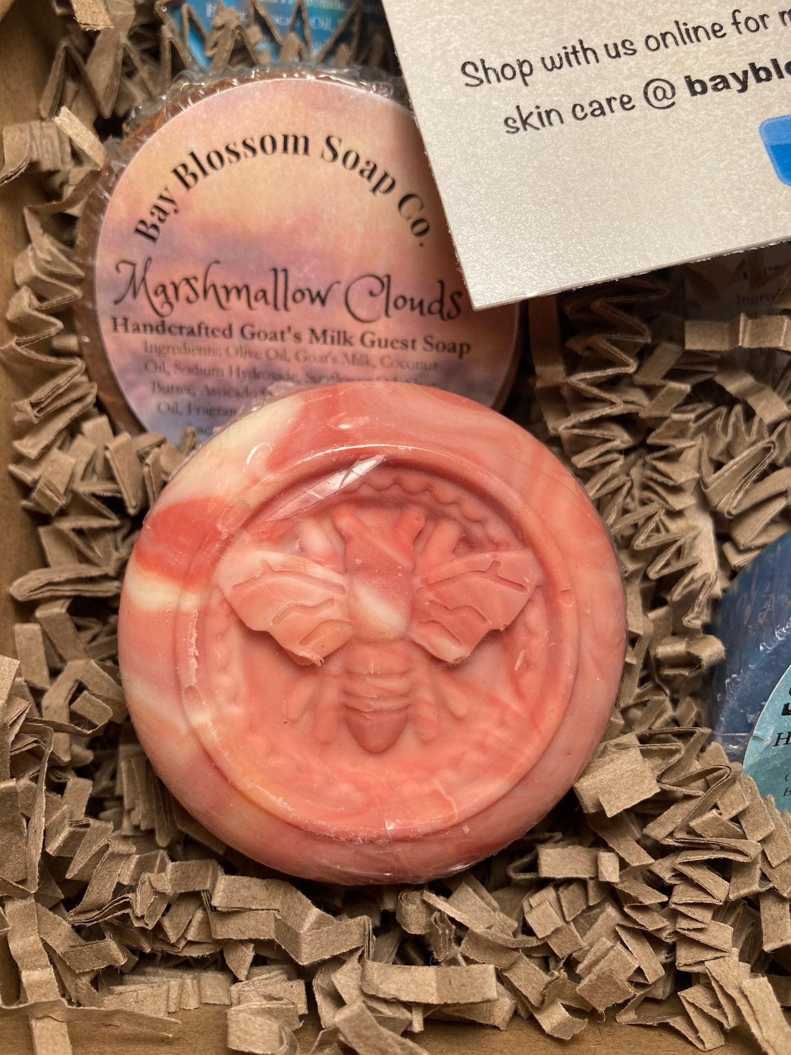 Mini Guest Soap Set of 10 Assorted Soaps, Guest Soap Gift Set, Soap Set ...