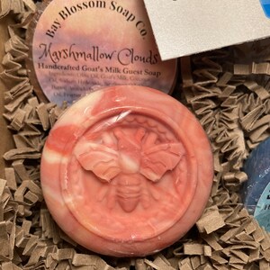 Assorted Mini Guest Soap Set: Natural Handcrafted Soaps - Etsy