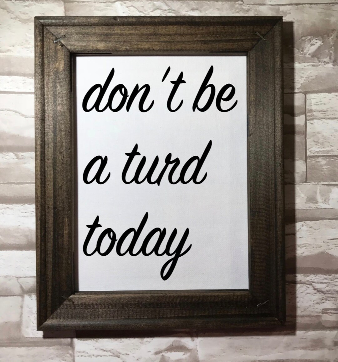 Don't Be a Turd Today Funny Kids Bathroom Wall Decor, Framed Farmhouse ...