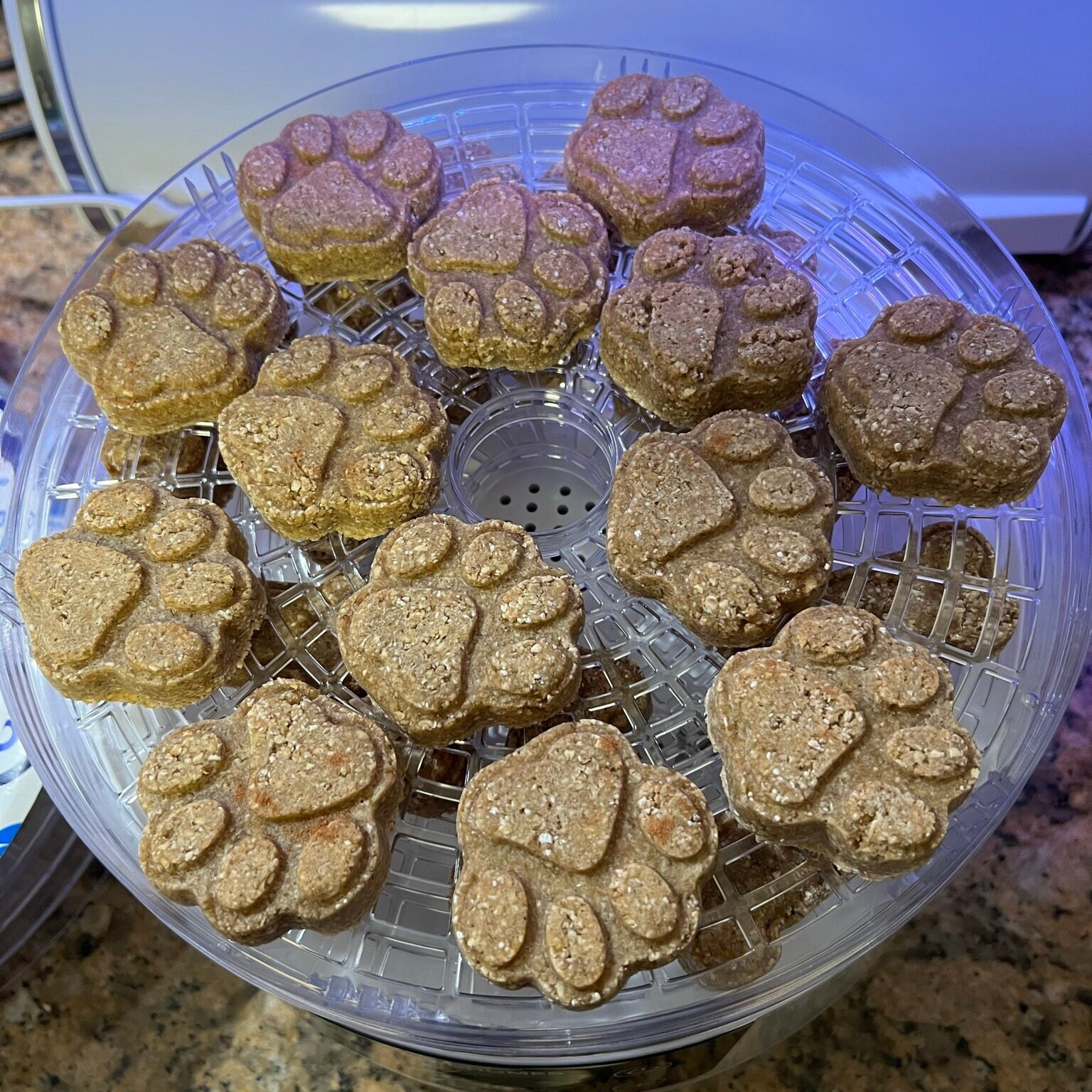 Delightful Apple Crisp Wheat Free Dog Treats 6 Oz Bag - Etsy