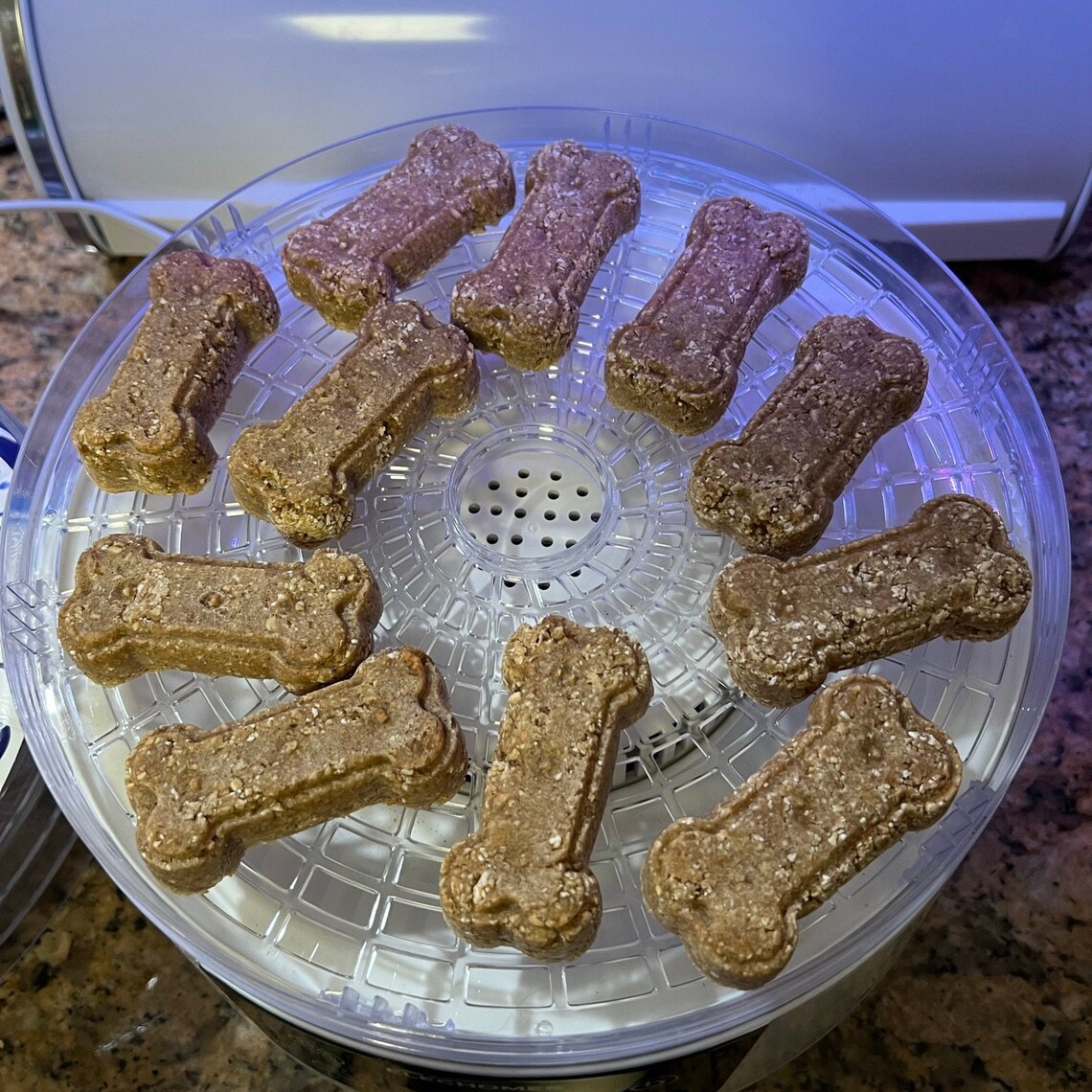 Delightful Apple Crisp Wheat Free Dog Treats 6 Oz Bag - Etsy