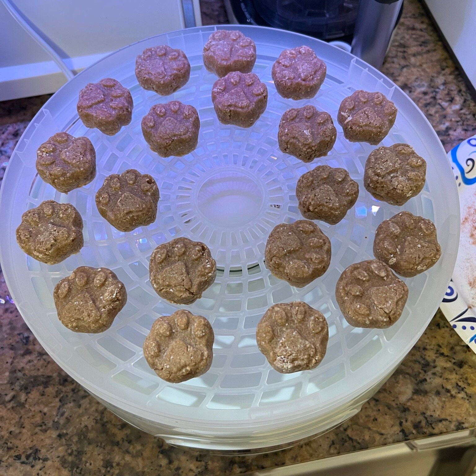 Delightful Apple Crisp Wheat Free Dog Treats 6 Oz Bag - Etsy