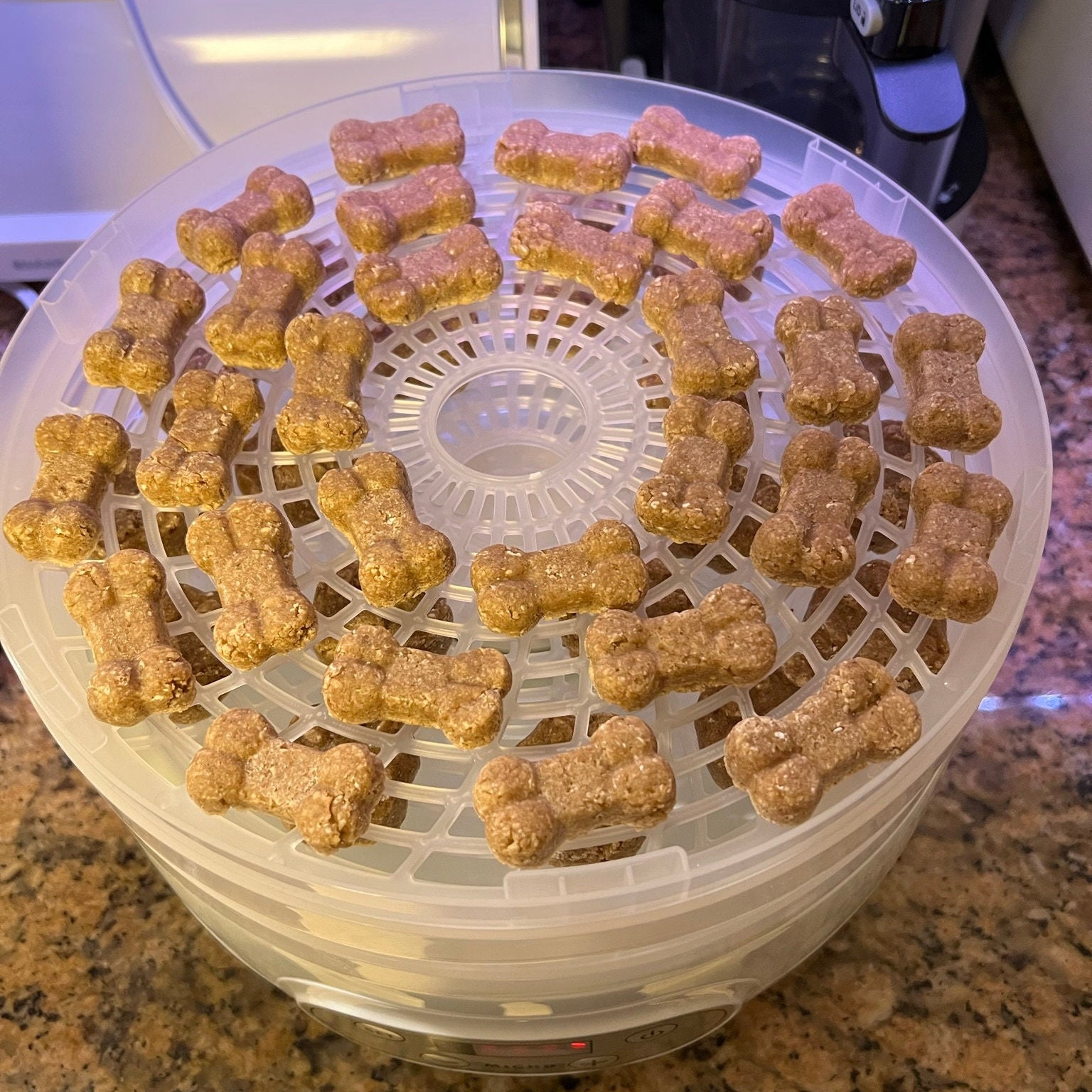 Delightful Apple Crisp Wheat Free Dog Treats 6 Oz Bag - Etsy
