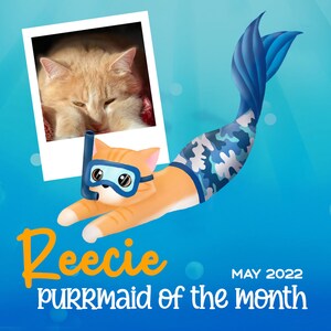 Purrman Reecie purrmaid of the Month May 2022 Small - Etsy