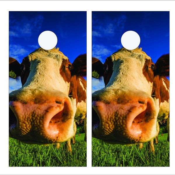 Cornhole Wraps - Etsy