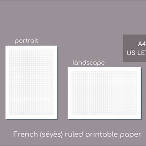 French Ruled Printable Paper Seyes Ruled A4 and US Letter - Etsy