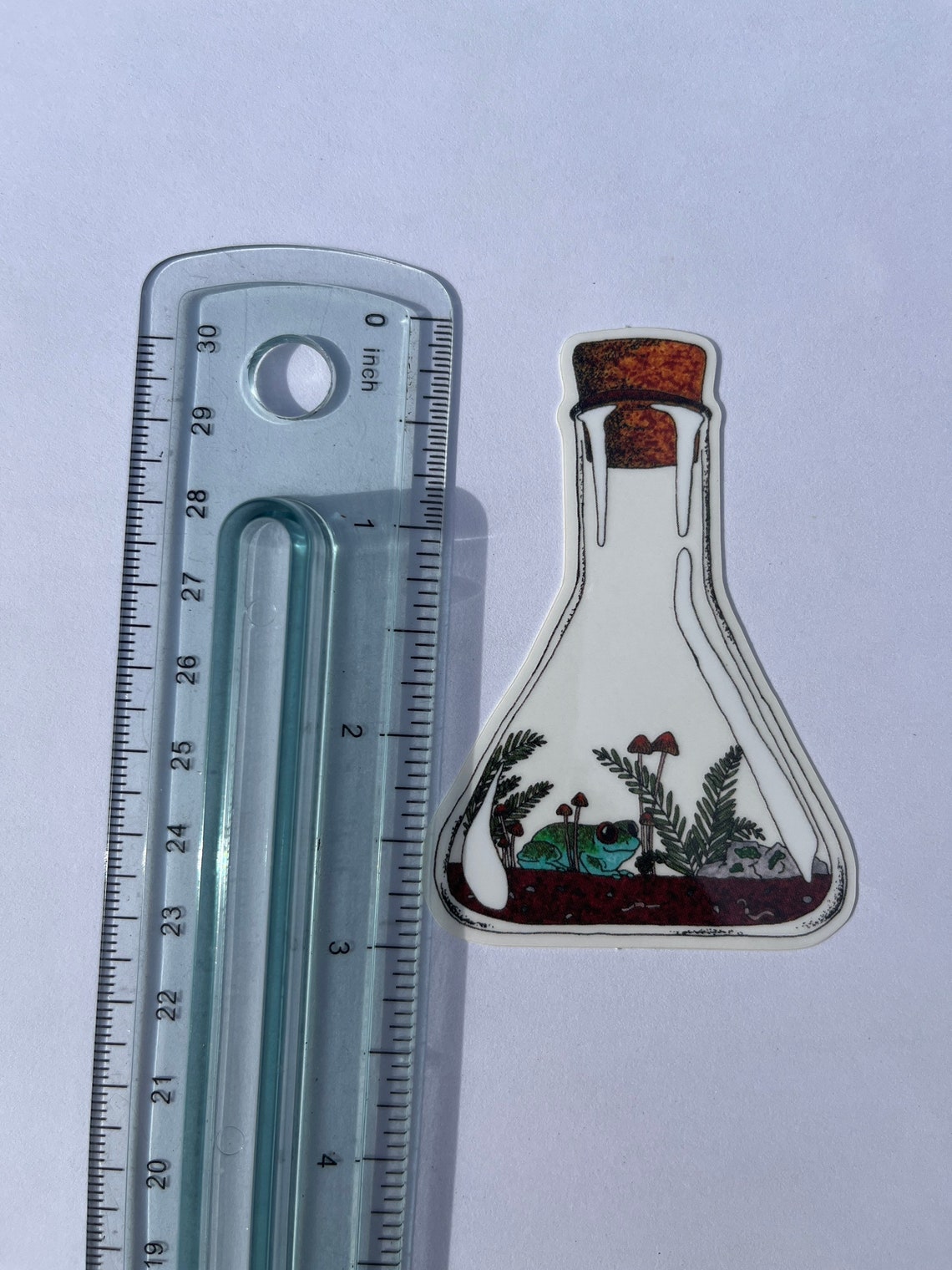 Vinyl Clear Frog Terrarium Sticker - Etsy
