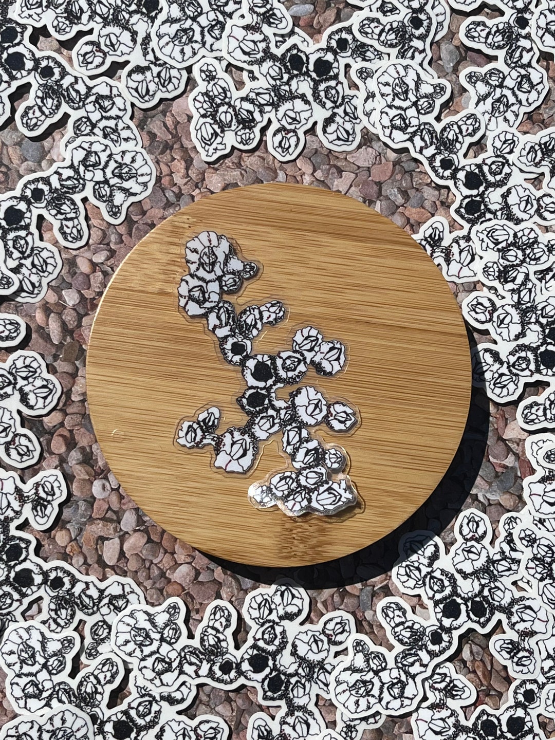 CLEAR Vinyl Acorn Barnacles Sticker - Etsy