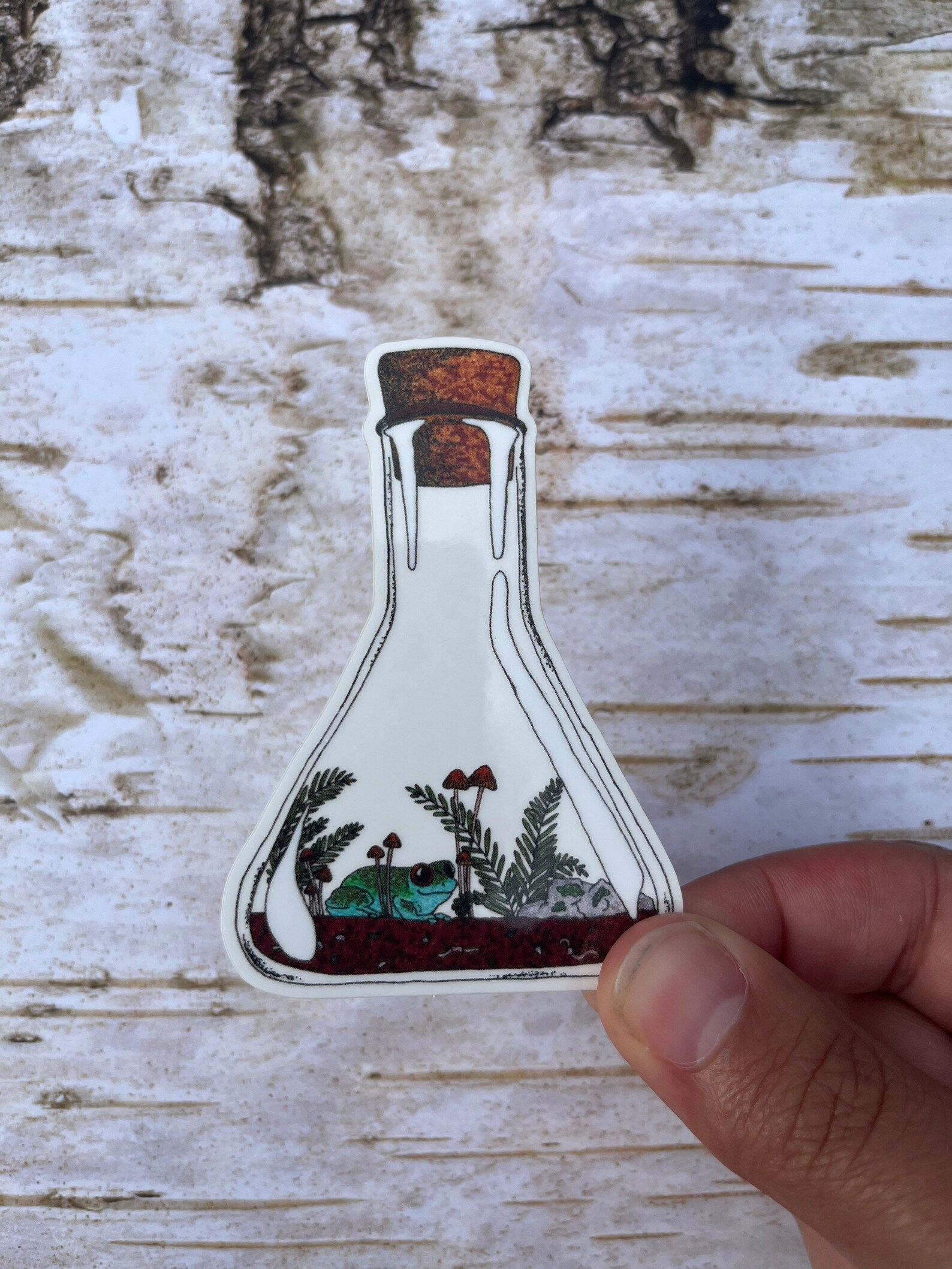 Vinyl Clear Frog Terrarium Sticker - Etsy