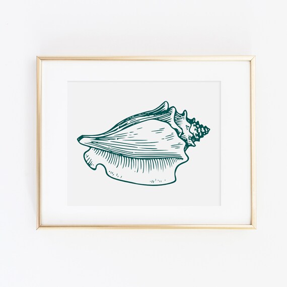 Digital Download Conch Shell Shell Art Coastal Wall Art | Etsy