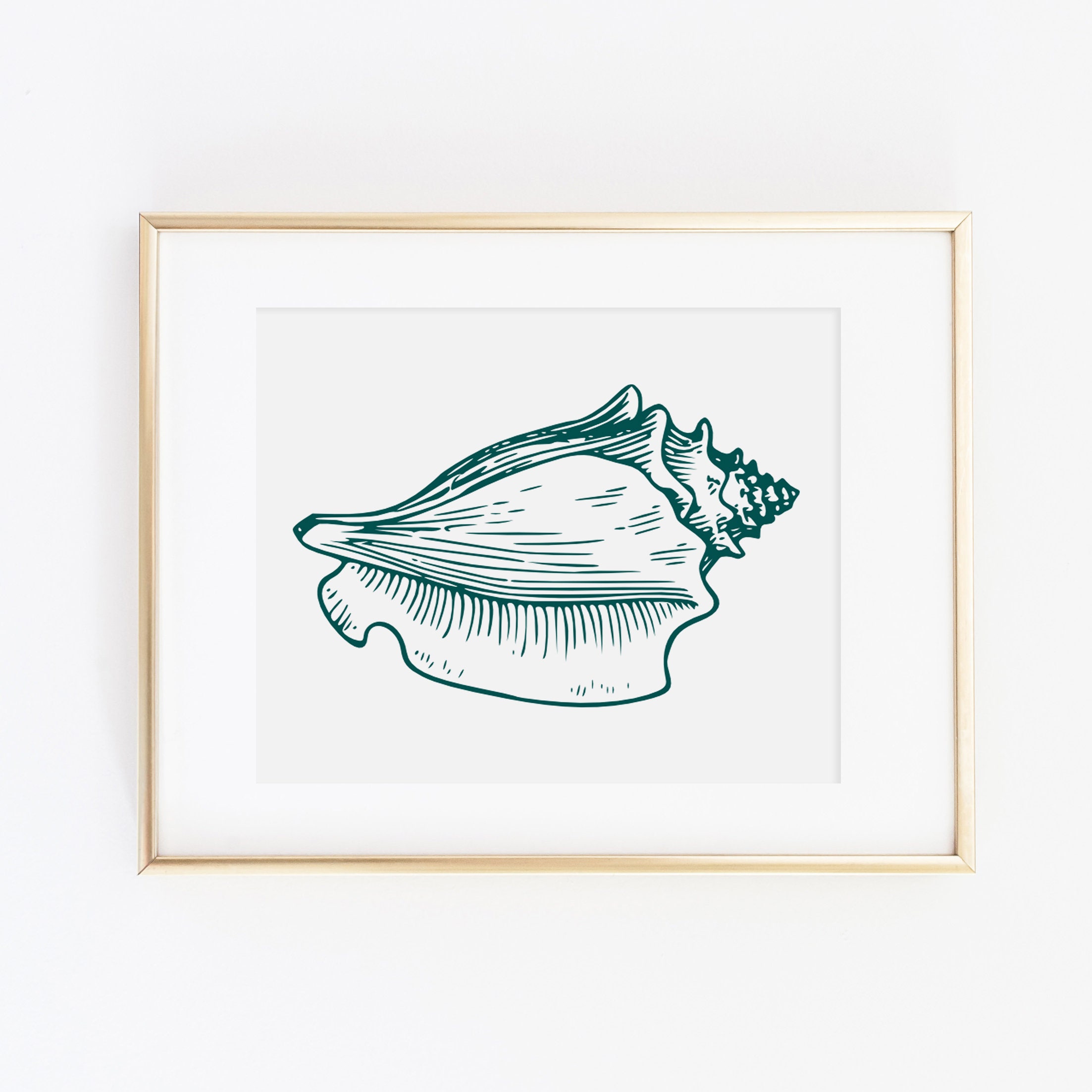 Digital Download Conch Shell | Shell Art | Coastal Wall Art | Seashell ...