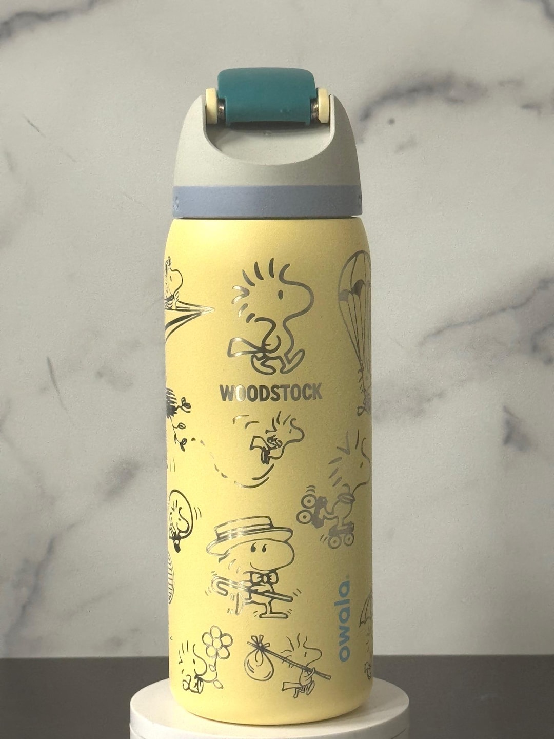 Laser Engraved Yellow Cartoon Bird Owala - Etsy