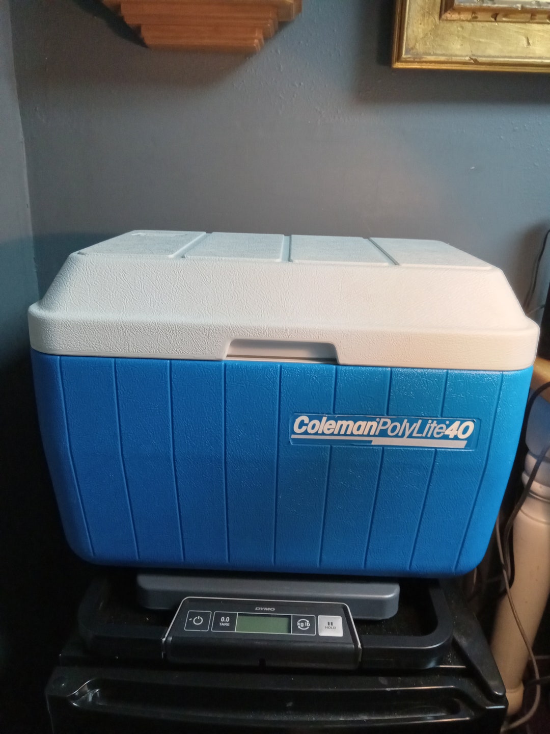 Coleman Polylite 40 Cooler Circa. 1992 - Etsy
