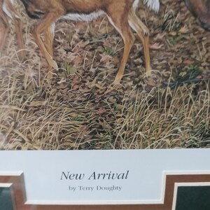 New Arrival by Terry Doughty Wildlife Print Circa. 1996 - Etsy