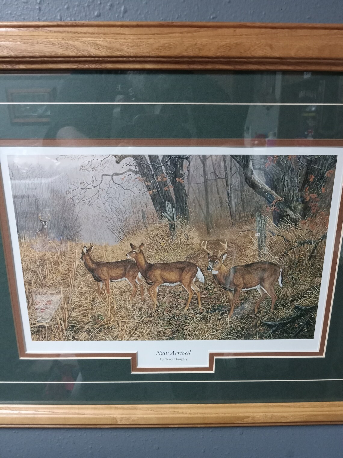New Arrival by Terry Doughty Wildlife Print Circa. 1996 - Etsy