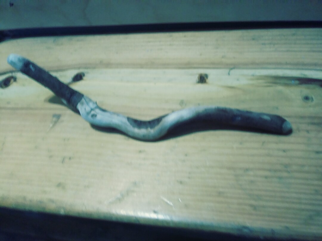 Great Lizard or Snake Decoration for Tank - Etsy