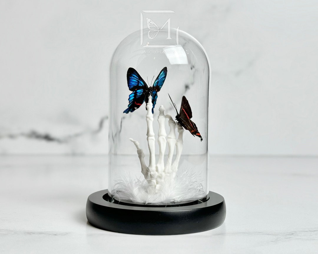 Dancing Butterflies on Skeleton Hand in Glass Dome - Etsy