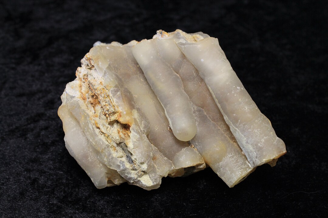 Bamboo Agate Chalcedony Tubular Agate Reed Fossil Large Display Piece ...