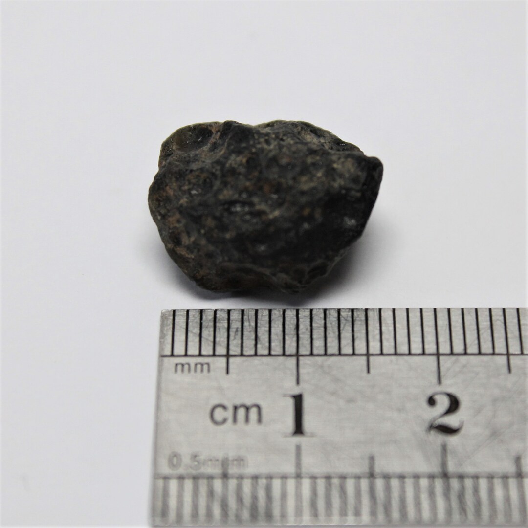 Indochinite Tektite Genuine Natural 700,000 Years Old Specimen From ...
