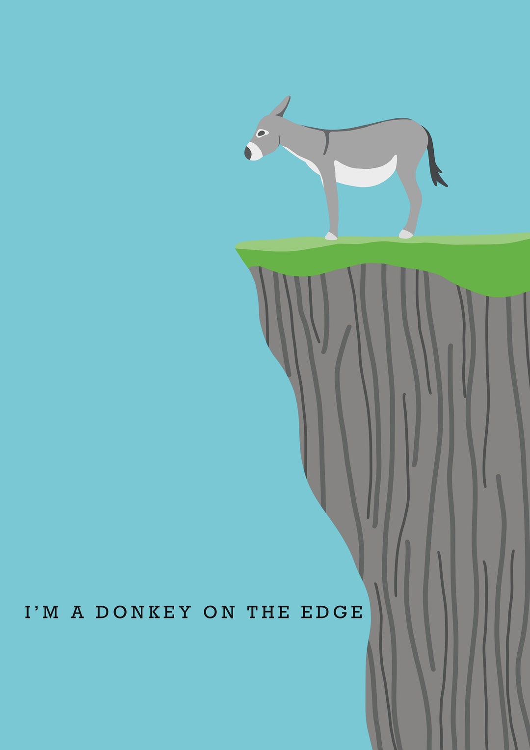 Donkey on the Edge Shrek A4 Illustration - Etsy