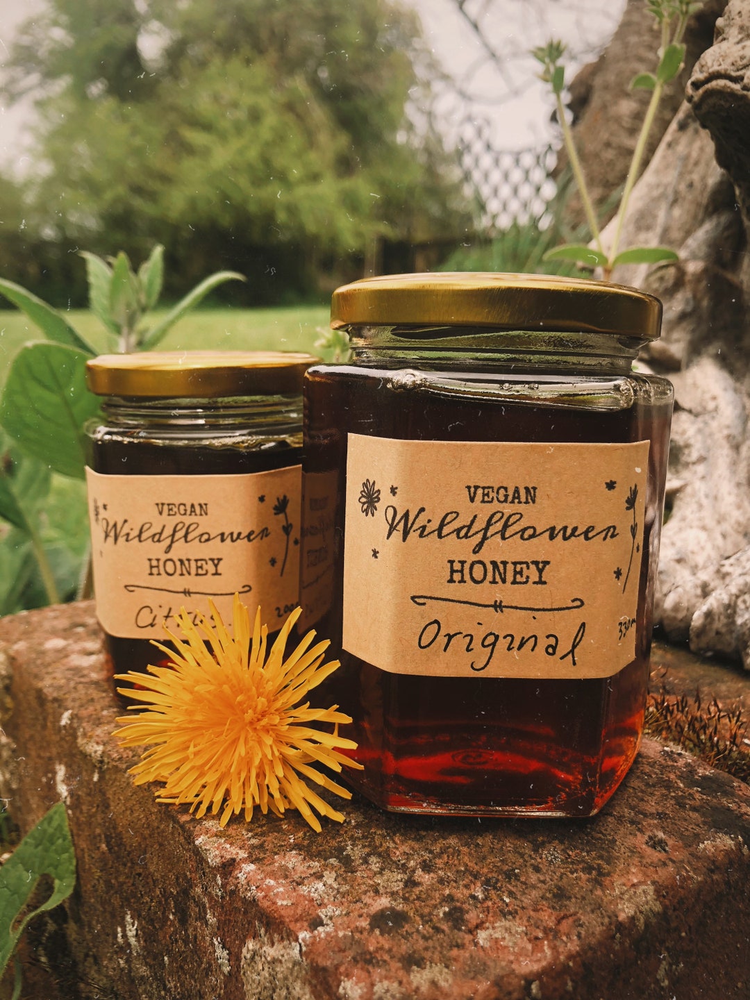 VEGAN Wildflower HUNNY // Plant Based, Dandelion, Vegan Food, Gift ...