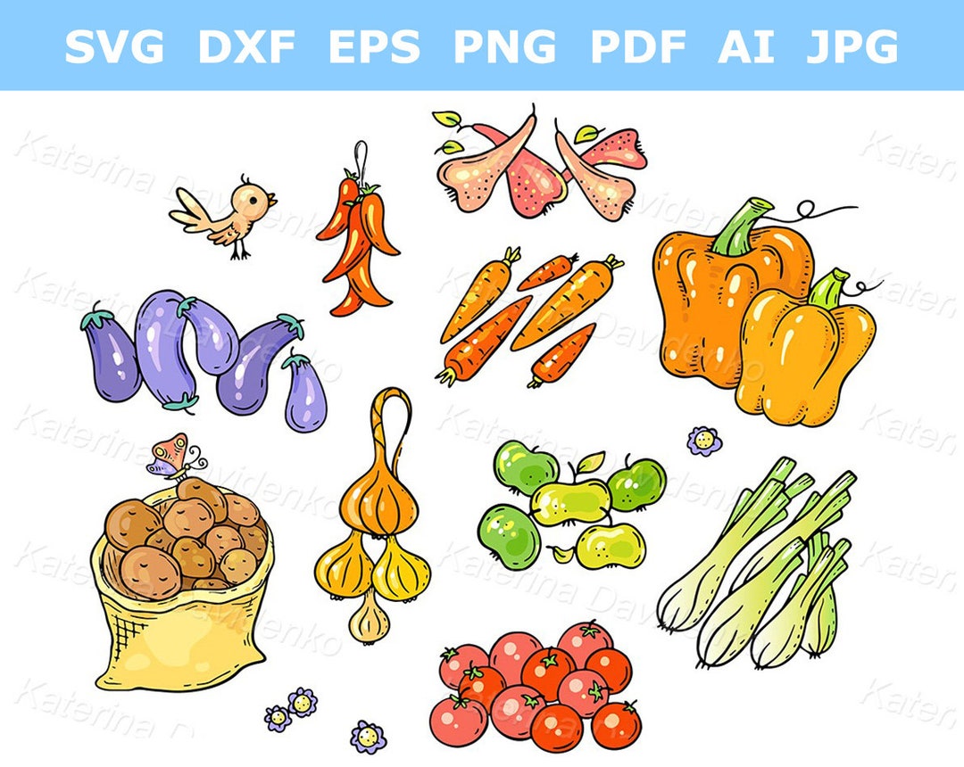 Vegetable Clipart Set. Vector Illustration, Digital Download. - Etsy
