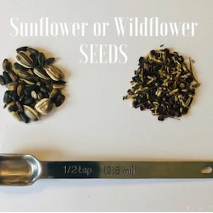 Religious Cross Seeds Communion First Holy Communion Baptism Seed ...