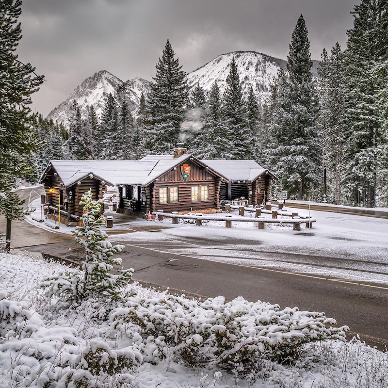 Rustic Cabin Restaurant - Etsy