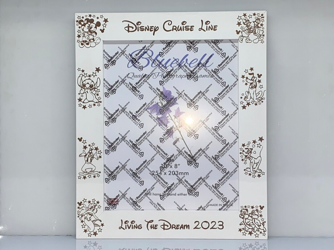 Personalised Disneyland Paris or Disney World Photo Frame Any Year Date ...
