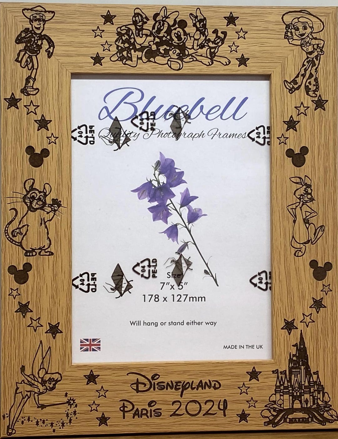 Disney Photo Frames Engraved and Personalised Choose From A Variety of ...