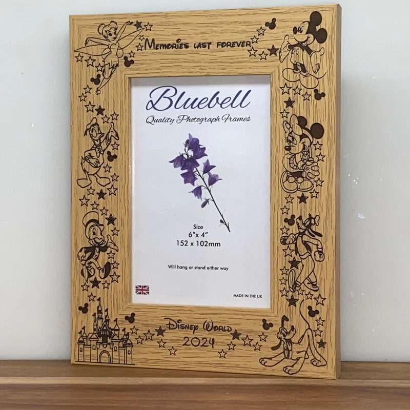 Disneyland 8x10 Picture Frames - Etsy