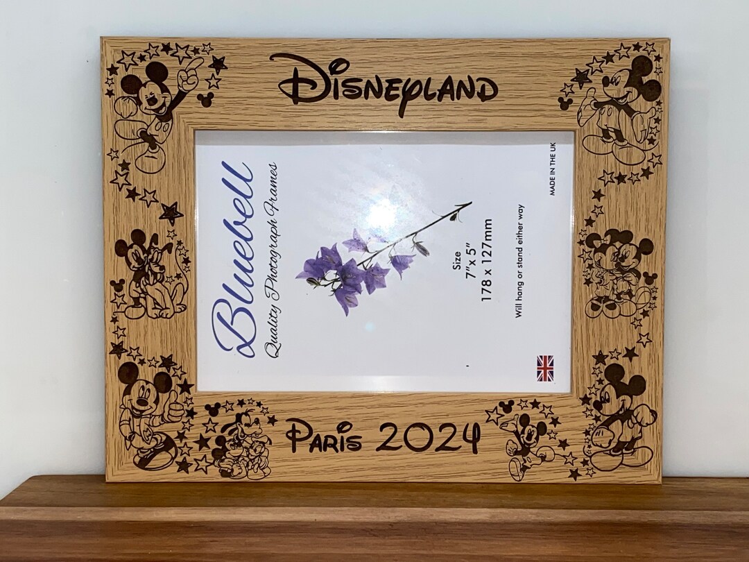 Personalised Disneyland or Disney World Photo Frame Any Year Date and ...