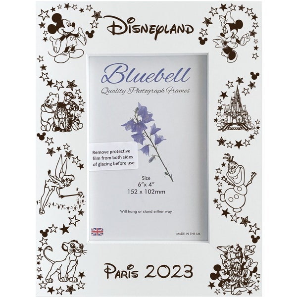 Disneyland Photo Frames - Etsy
