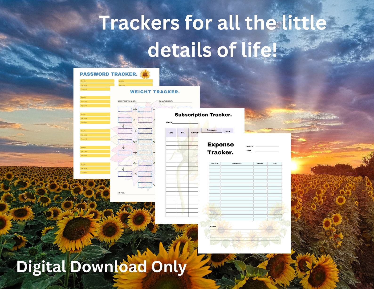 Ultimate Planner, Printable Planner, Reusable Planner, Undated Planner ...