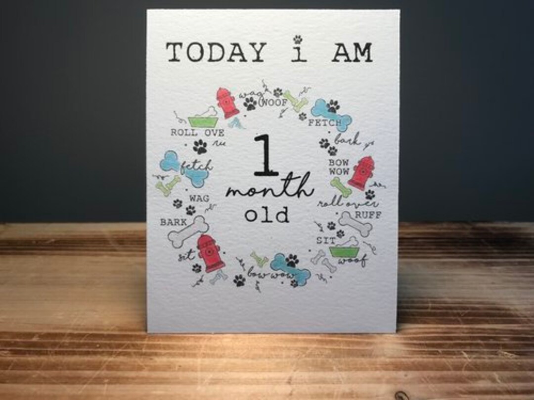 Puppy Milestone Cards // First Year //handmade Dog Milestone - Etsy UK