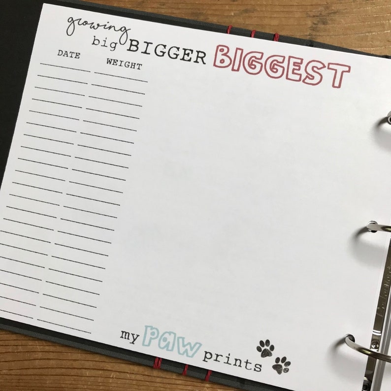 Pet Memory Book // Dog House Cover // Handmade Dog Memory Book Gift Pet ...