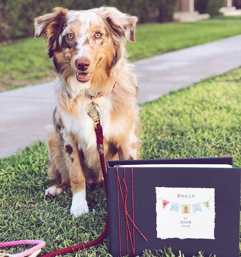 Pet Memory Book // Dog House Cover // Handmade Dog Memory Book Gift Pet ...