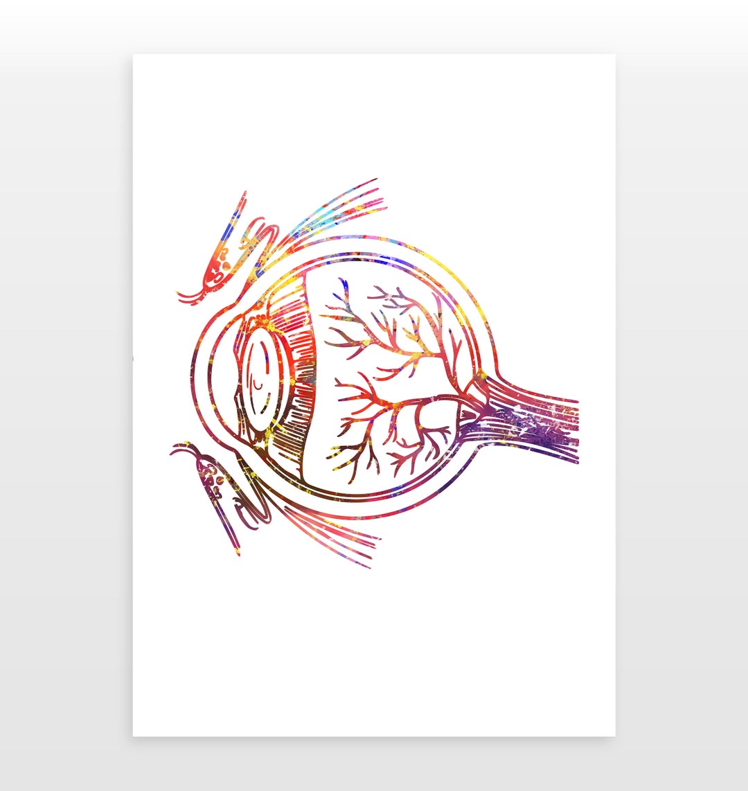 Eyeball Poster - Watercolour Print - Etsy