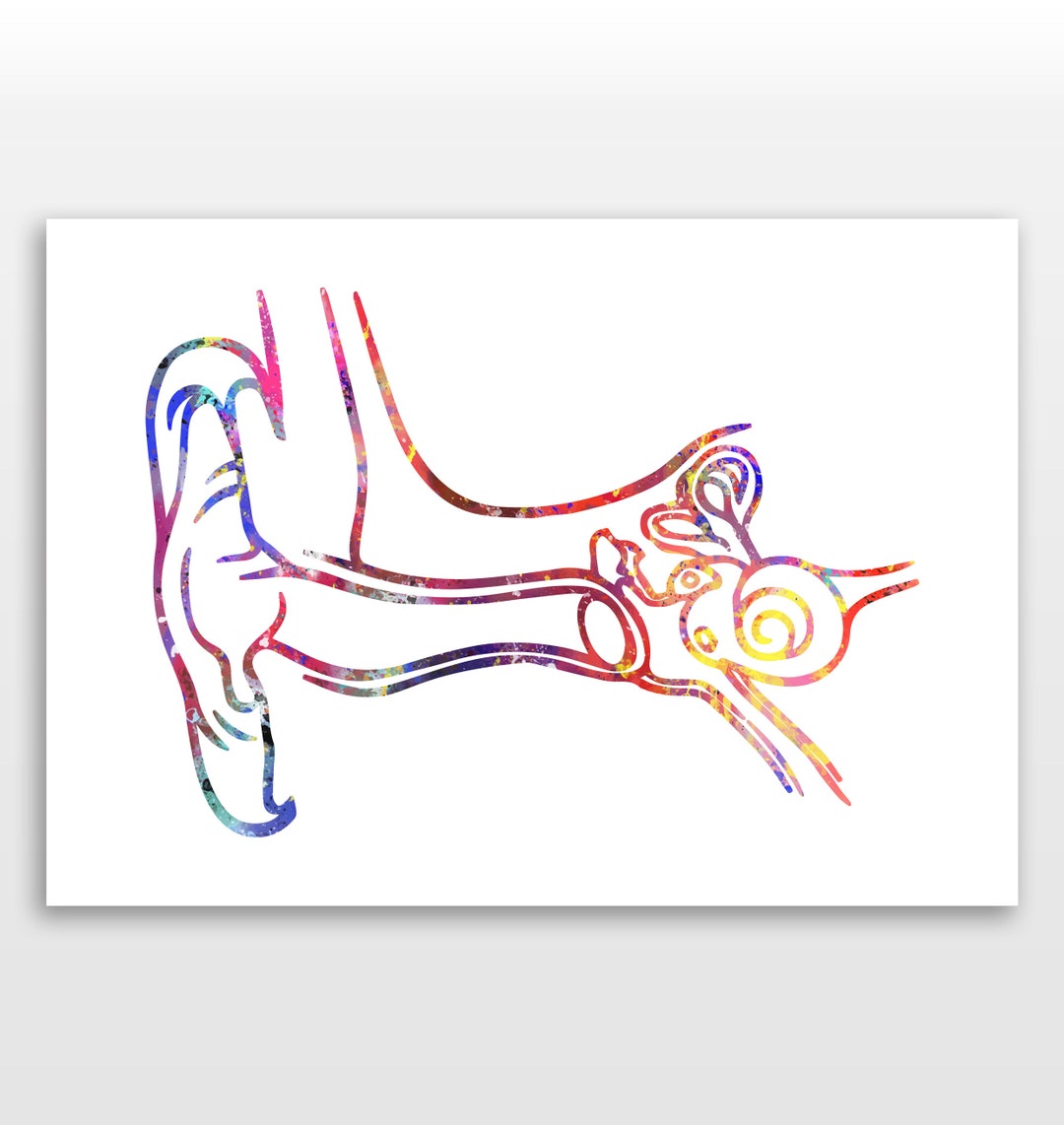 Ear Canal Poster - Ear Print - Watercolour Print - Etsy