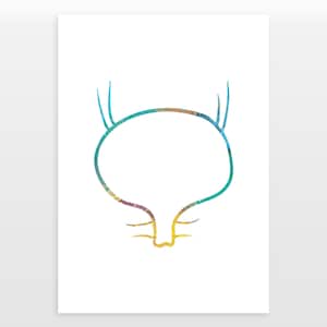 Bladder Poster - Human Organs Print - Watercolour Print - Etsy