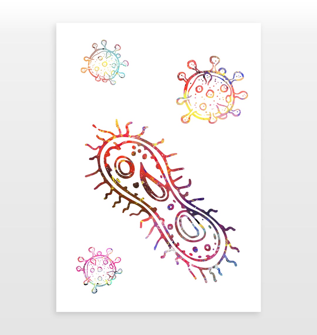 Bacteria Poster - Watercolour Print - Etsy