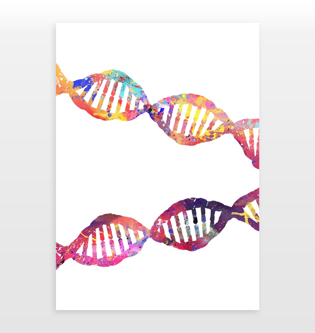 DNA Poster - Human Genetics Print - Watercolour Print - Etsy