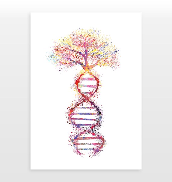 Human Dna Strand Art
