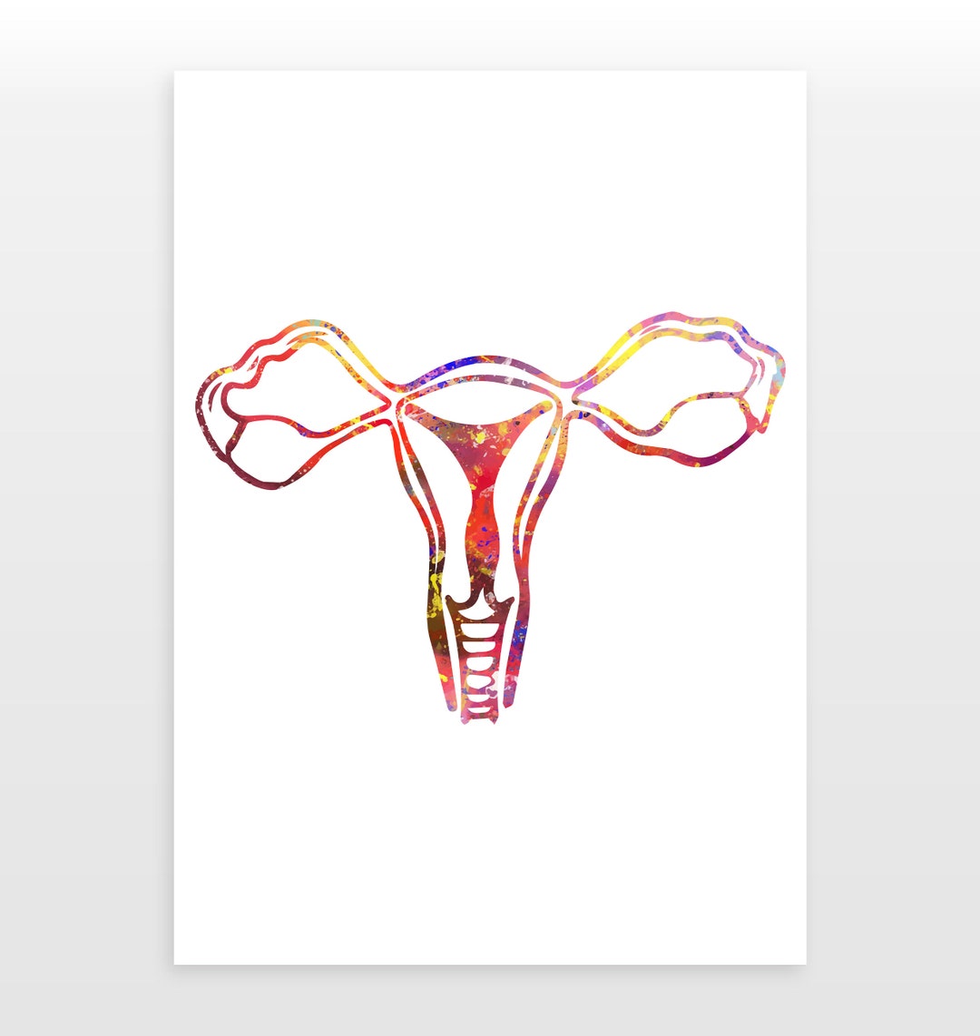 Uterus Poster Female Anatomy Print Watercolour Print - Etsy