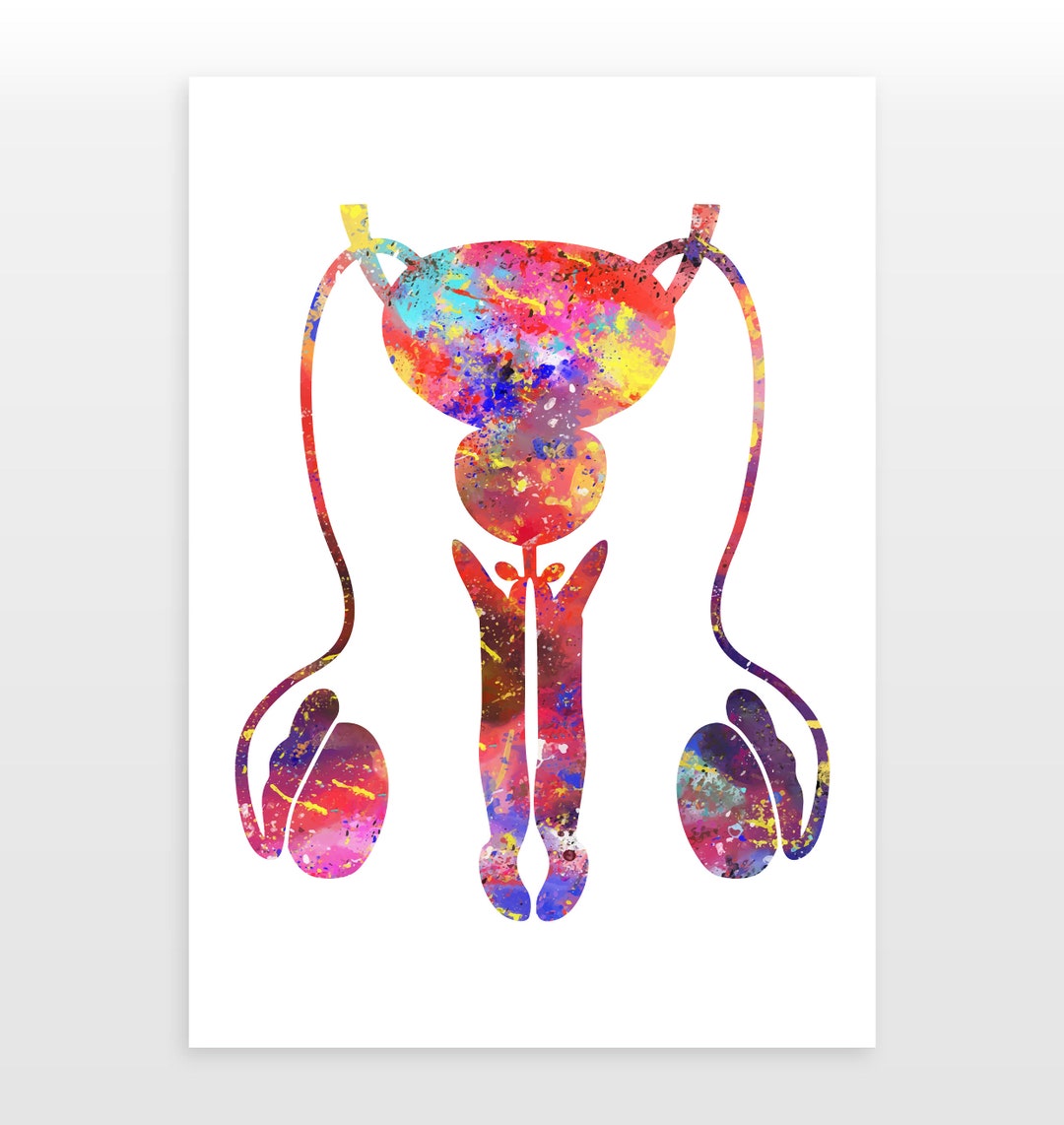 Male Reproductive Anatomy Poster - Male Genitalia Print - Watercolour ...