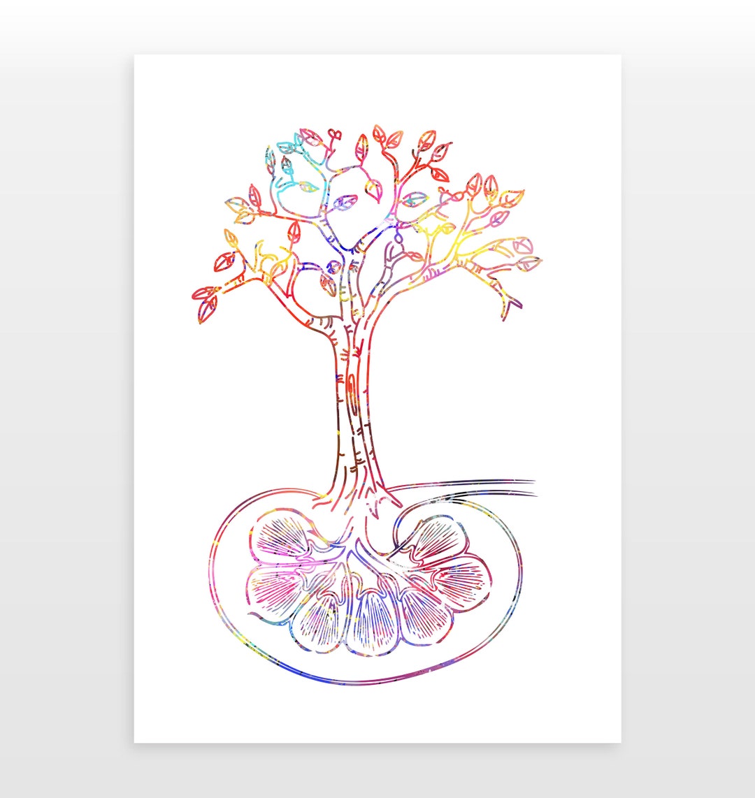 Human Kidney Poster - Tree Print - Watercolour Print - Etsy