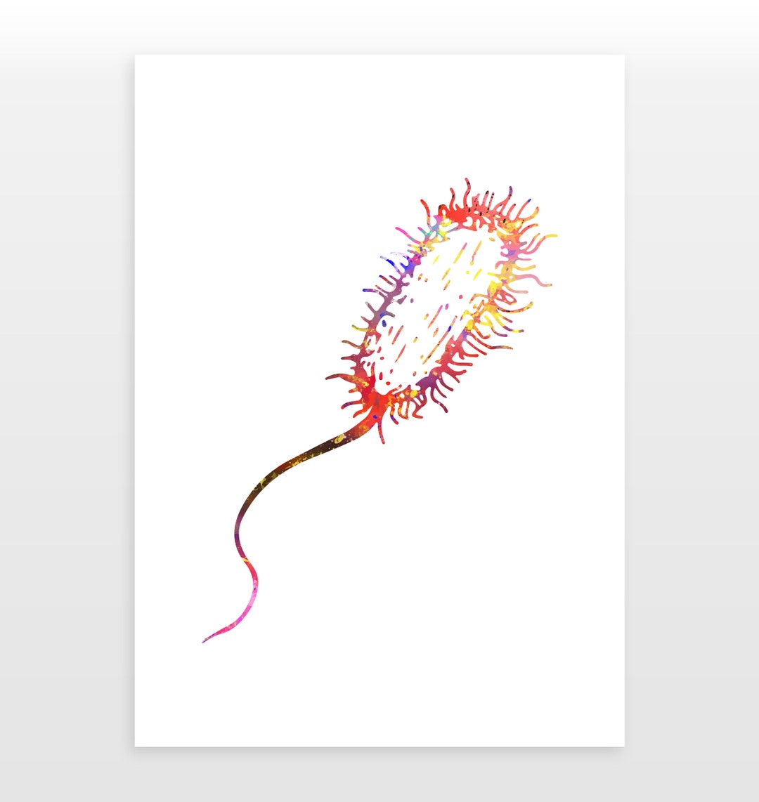 Bacteria Poster - Watercolour Print - Etsy