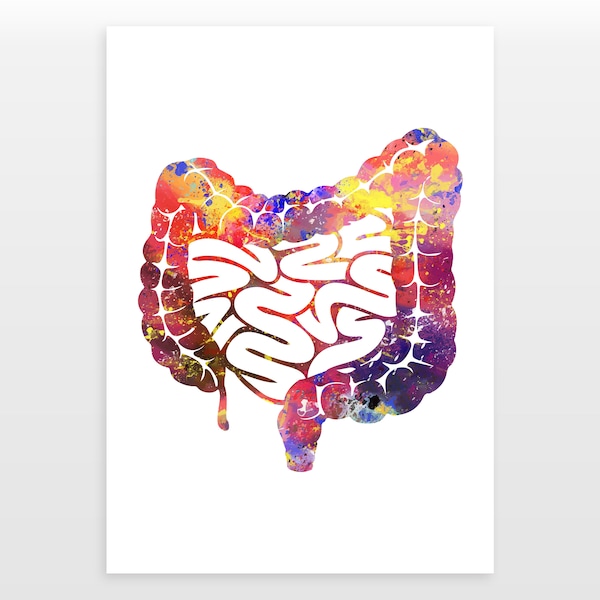 Internal Organs - Etsy UK
